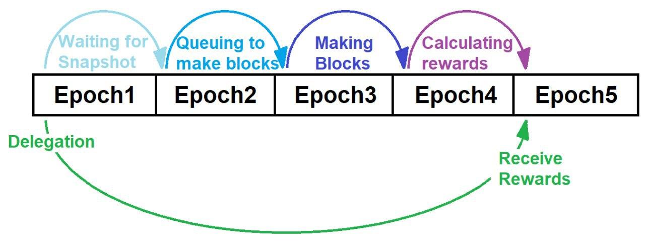 تحلیل فاندامنتال کاردانو ؛ معرفی کامل نسل سوم بلاک چین - کوین نیک